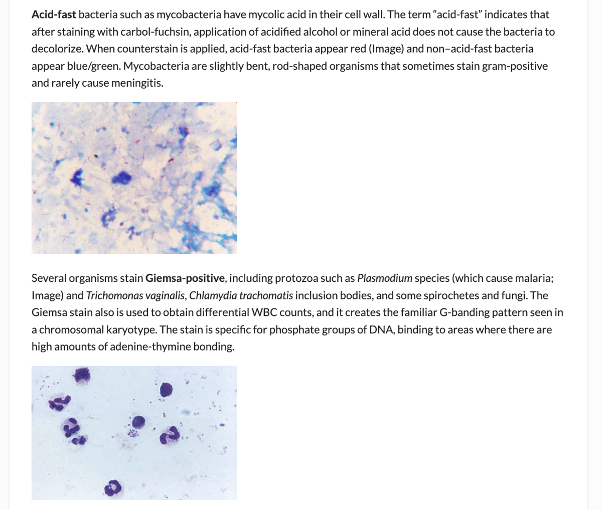 How to Study Microbiology in Med School