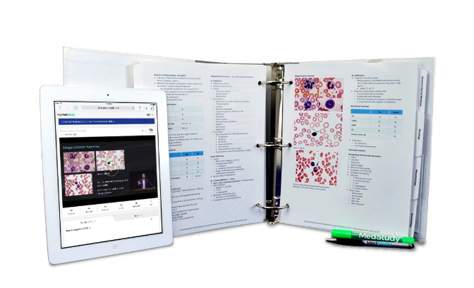 What The MedStudy Online Board Review Course Experience Is Really Like