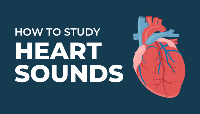 The Complete Guide to Learning Heart Auscultation
